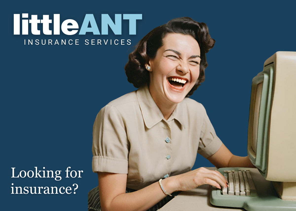 Introducing our very own Little ANT Insurance broker